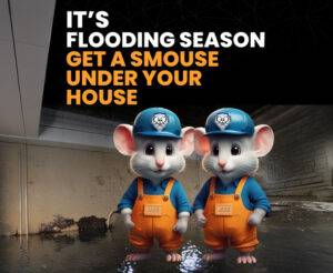 Interior Basement Waterproofing in Springdale, Arkansas | Smouse Bros